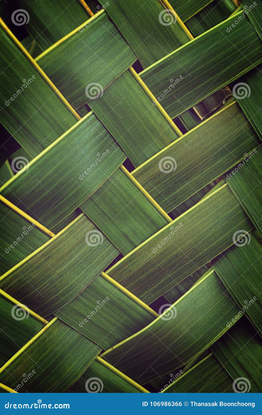 Pattern Weaving of Coconut Leaves, Green Nature Texture Stock Photo ...