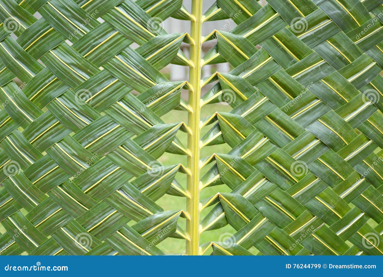 Pattern Weaving of Coconut Leaves Stock Image - Image of basketry ...
