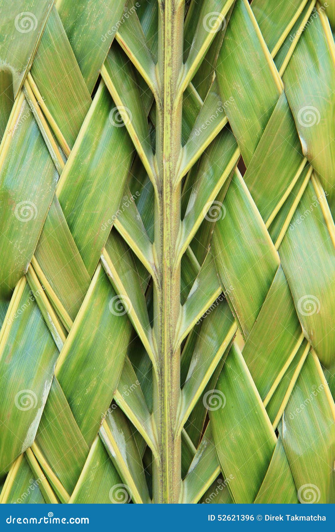 Pattern Weaving of Coconut Leaves Stock Photo - Image of background ...