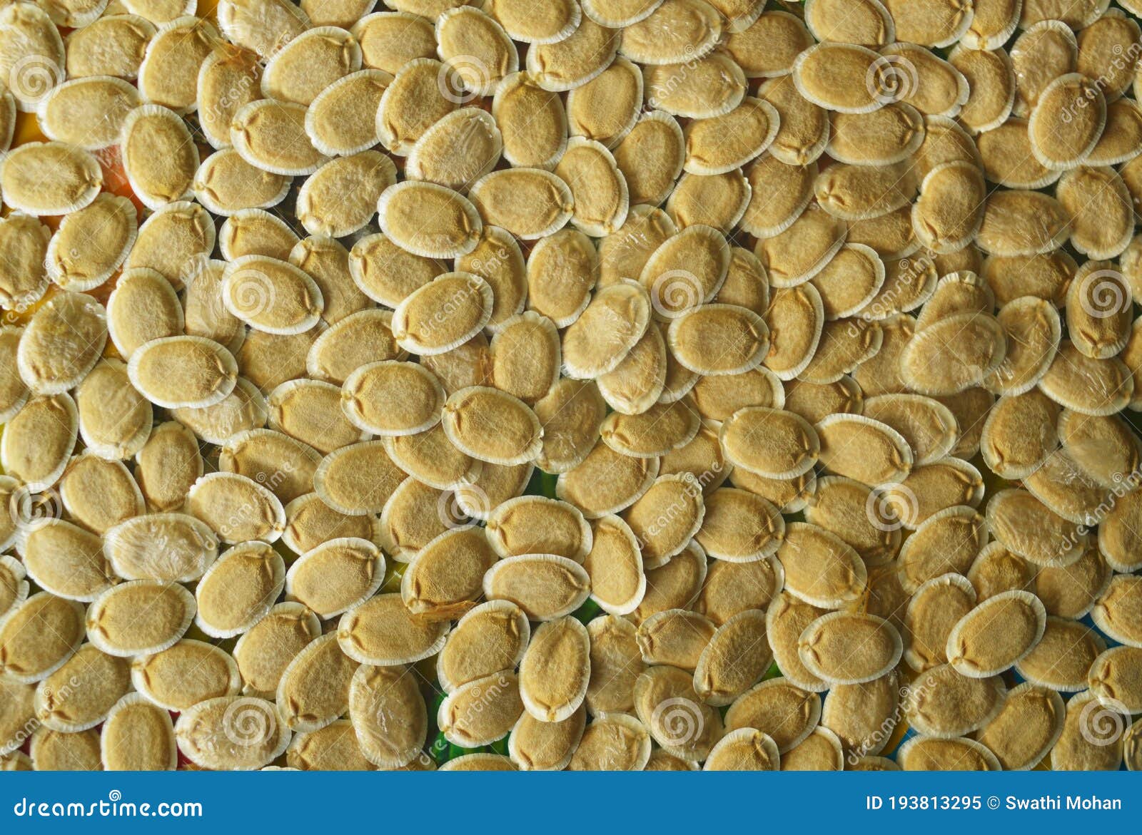 Pattern from wild seeds stock image. Image of detail - 193813295