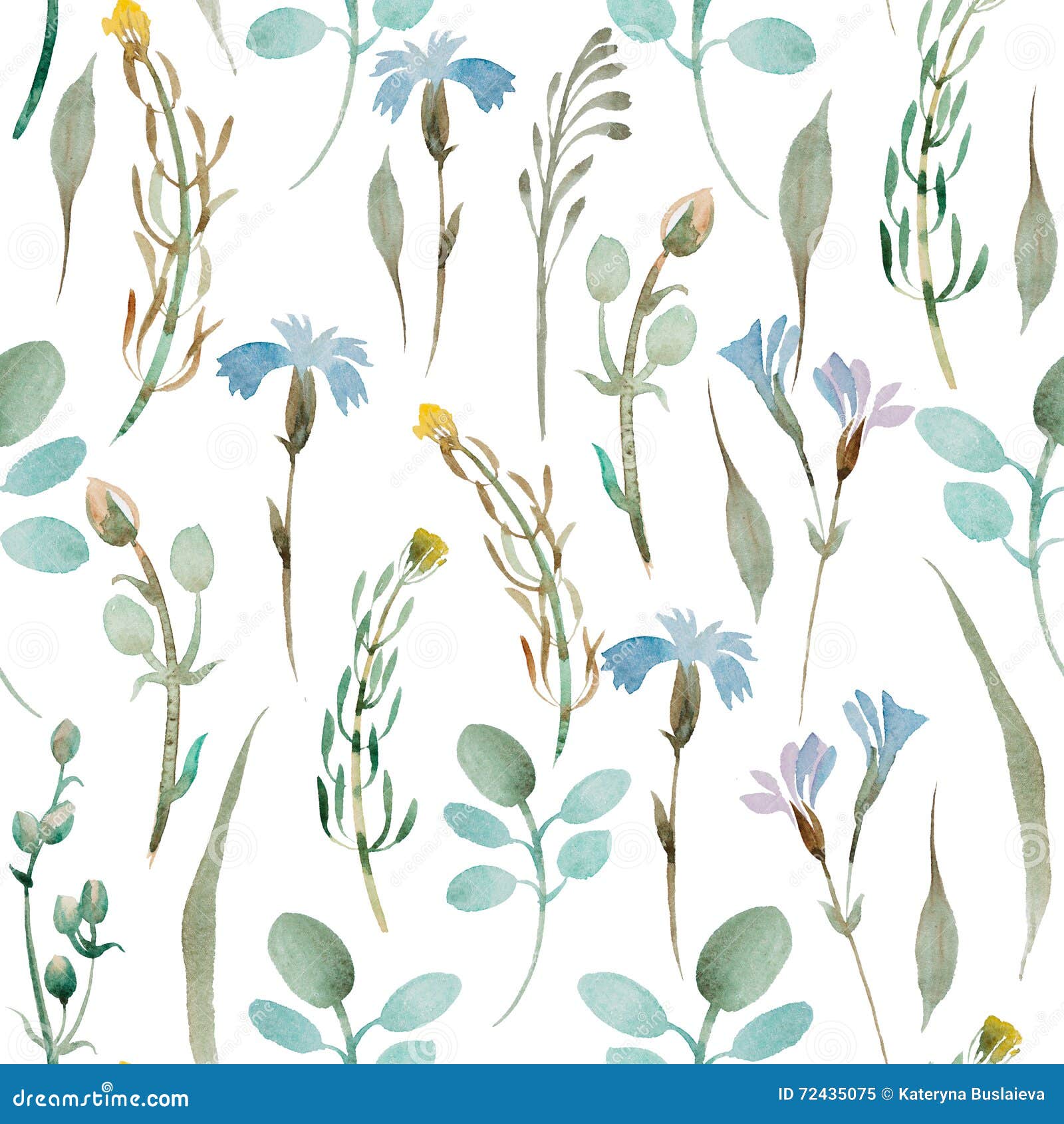 Pattern of Wildflowers and Leaves on White Background Stock ...
