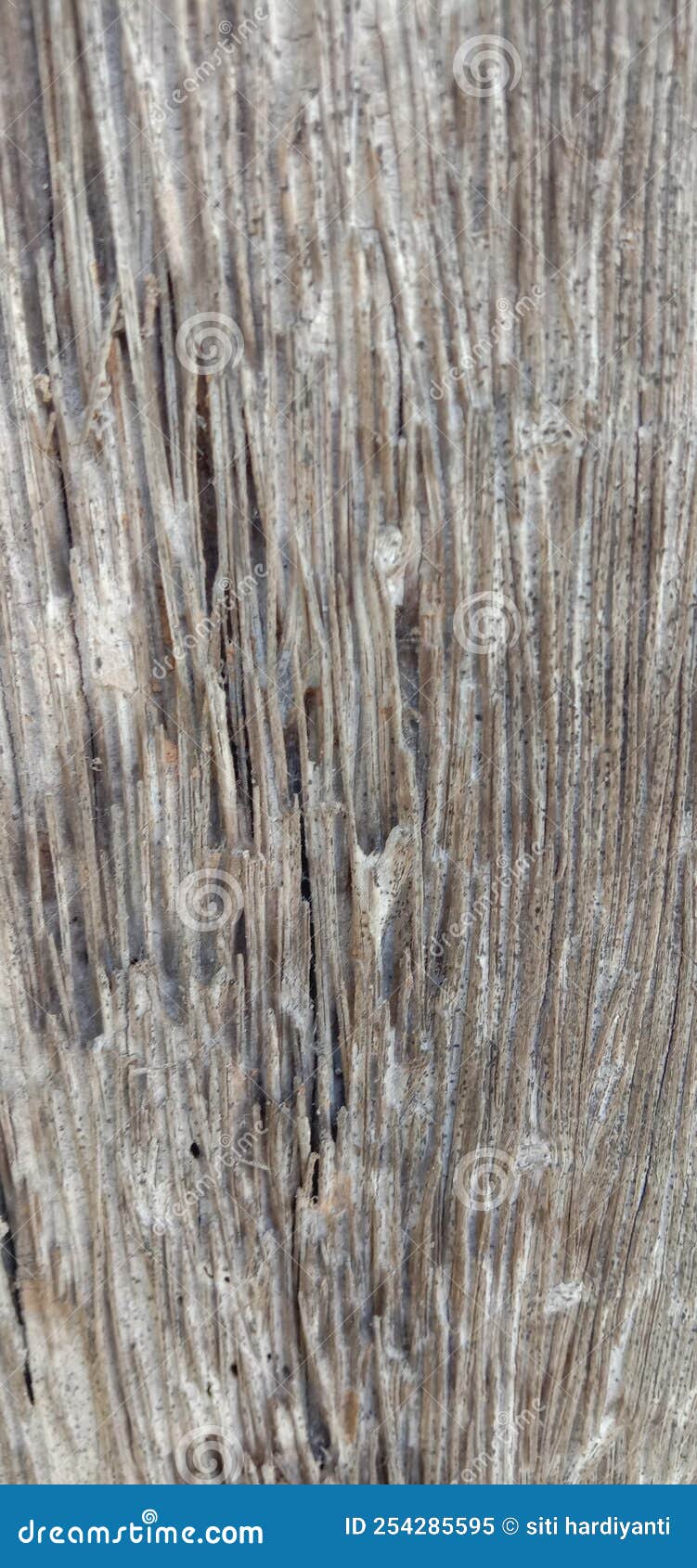 The Pattern of Wood is Sharp Stock Image - Image of hardwood, brown ...