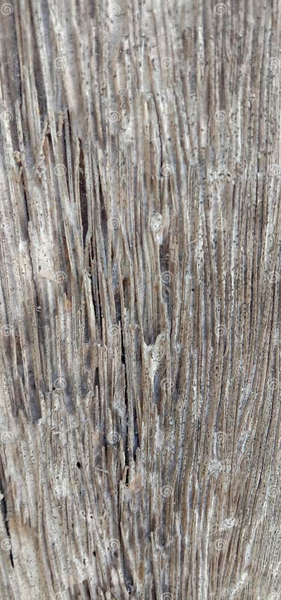 The Pattern of Wood is Sharp Stock Image - Image of hardwood, brown ...