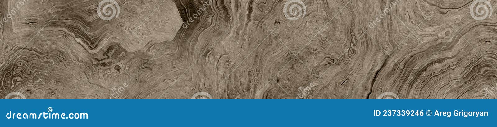 Pattern of wood structure stock photo. Image of abstract - 237339246