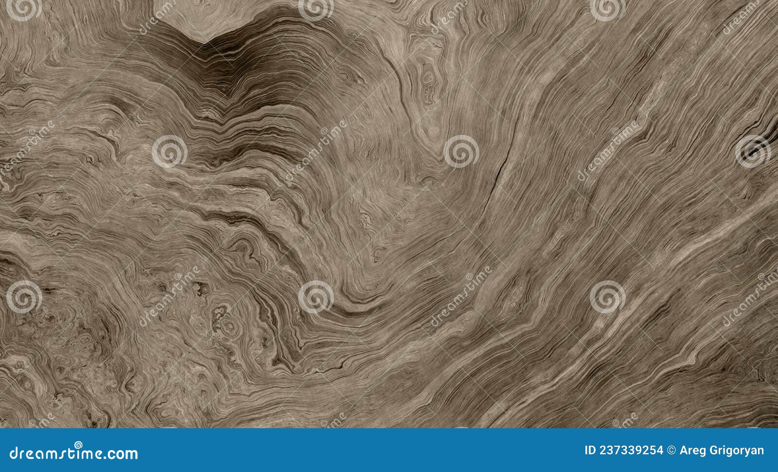 Pattern of wood structure stock photo. Image of pine - 237339254