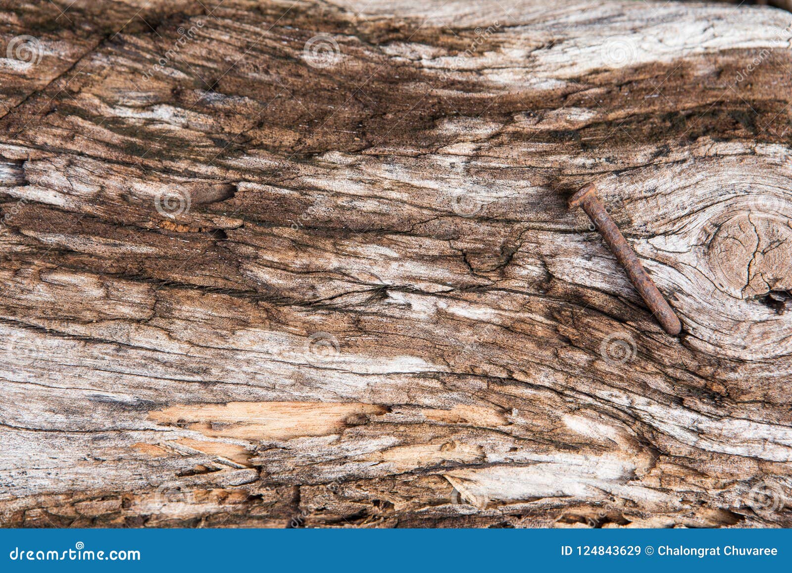 Pattern on wood texture stock image. Image of natural - 124843629