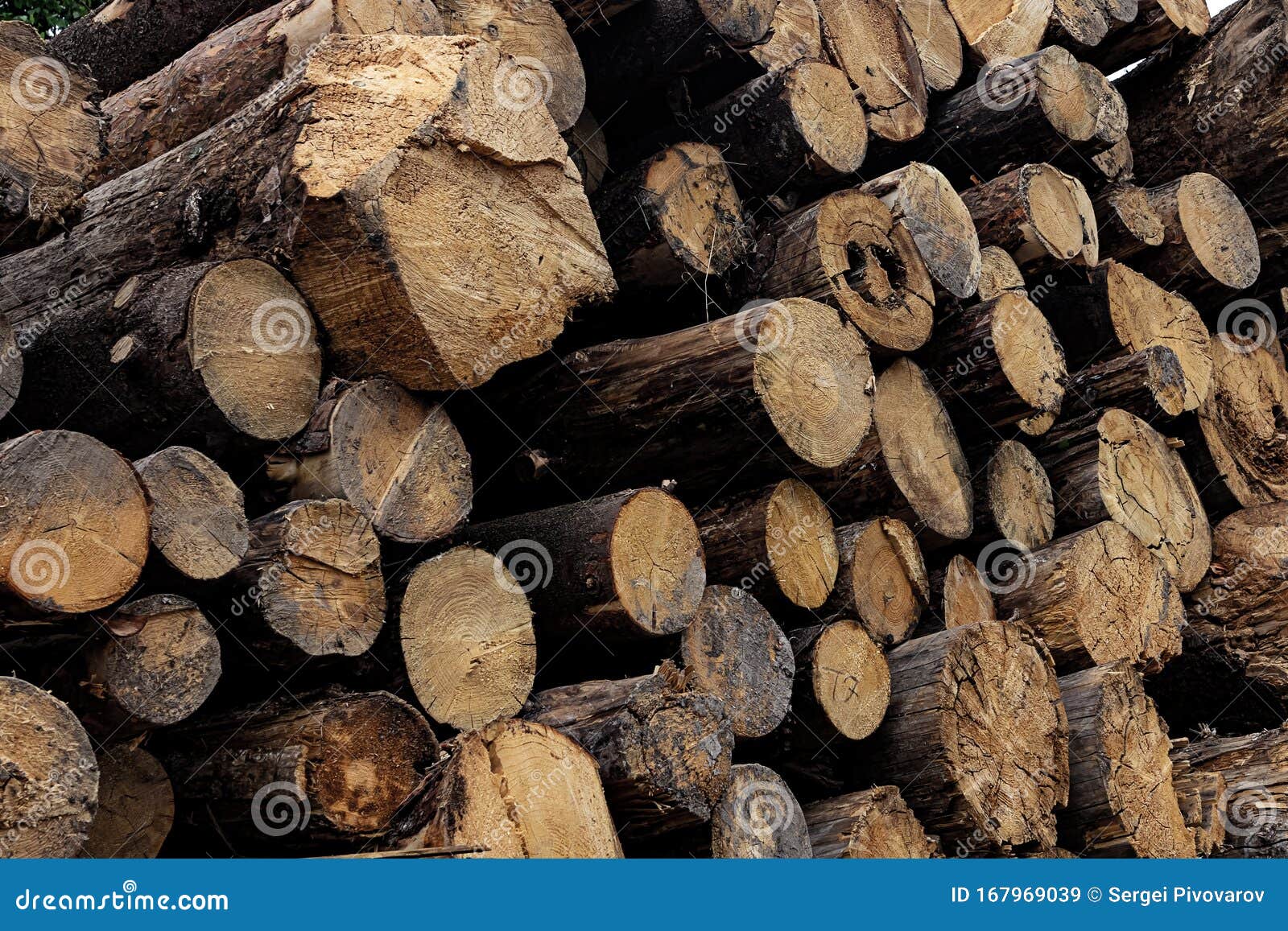 Pattern Wooden Log Pile End Logging Building Material Background Base ...