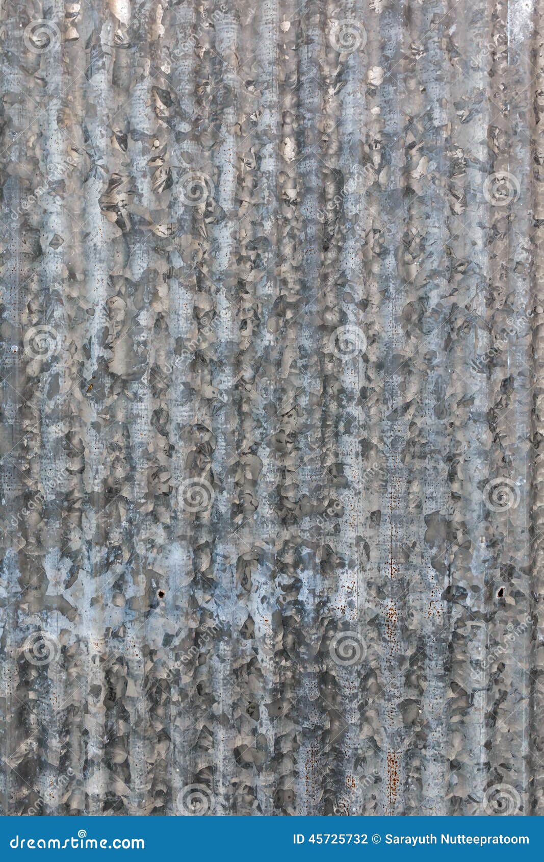 Pattern of zinc stock photo. Image of grunge, floral - 45725732