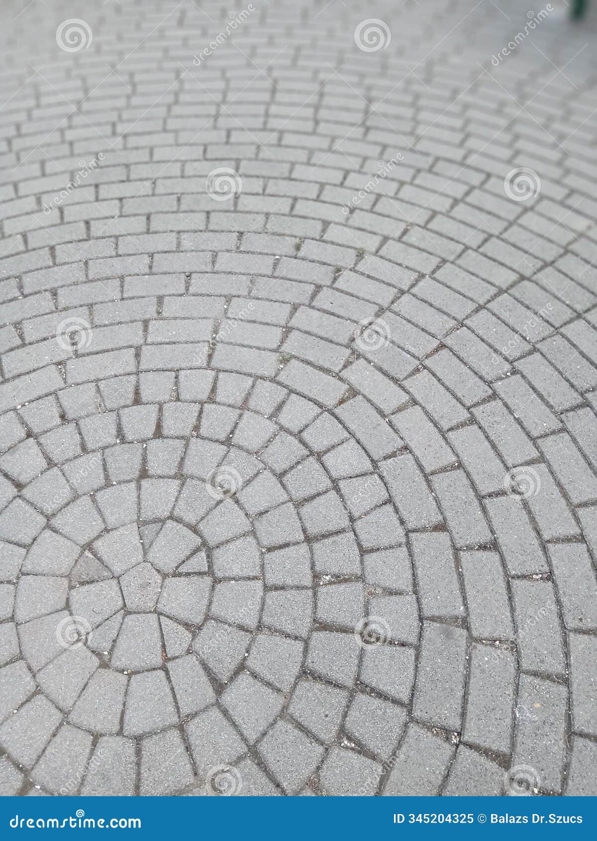 Patterned Cobblestone Pathway Featuring a Circular Design during ...