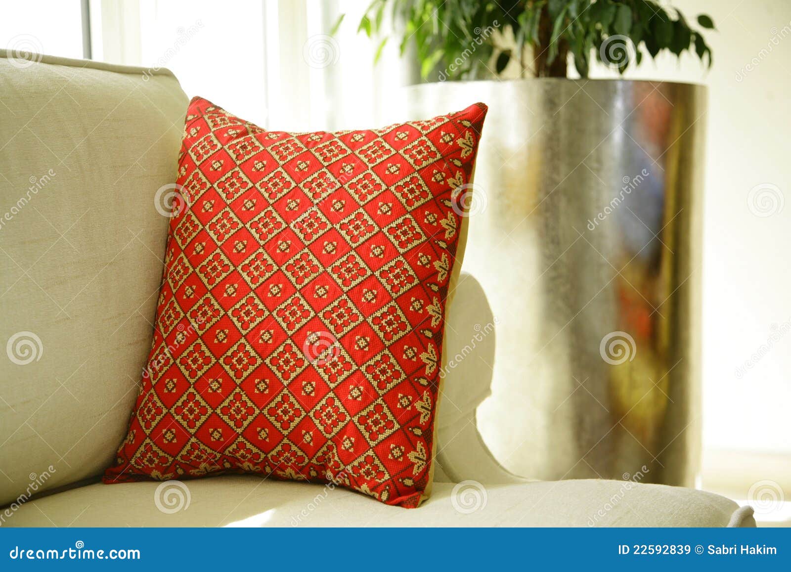 Patterned cushion stock image. Image of room, growing - 22592839