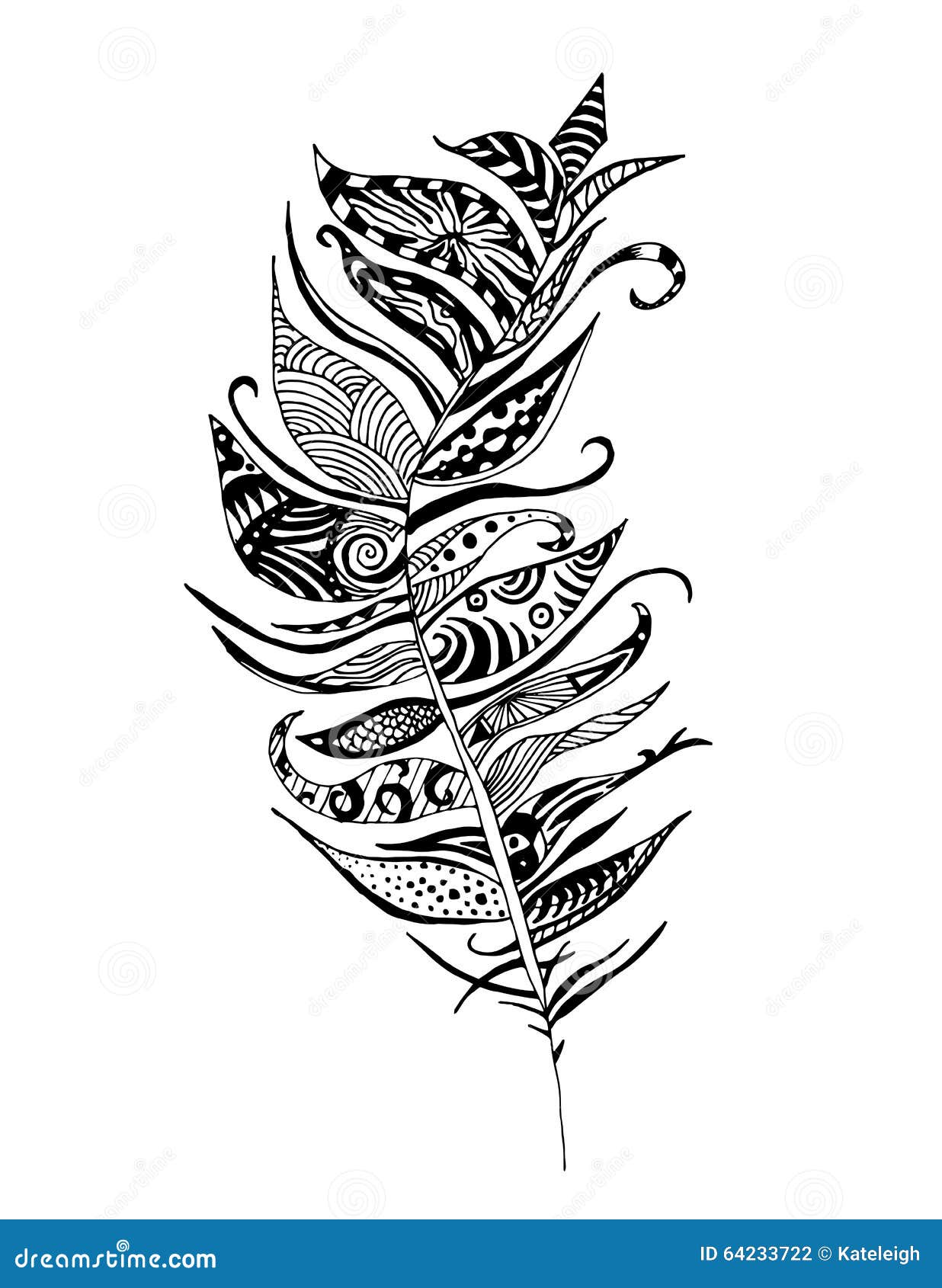 Patterned Feather Drawing stock vector. Illustration of fancy - 64233722