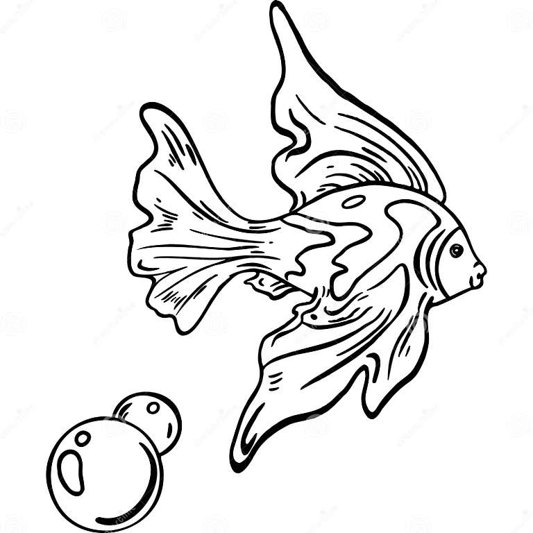 Patterned Fish with Bubbles Sketch Vector Illustration Stock Vector ...
