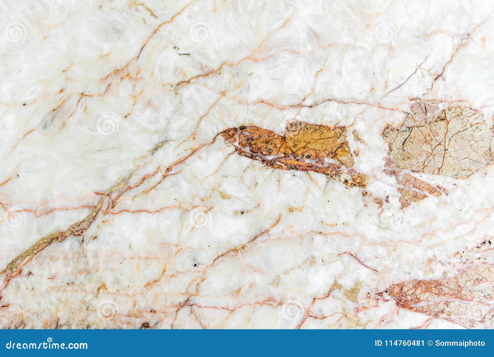 Patterned Marble Surface, Texture Stock Image - Image of marble ...