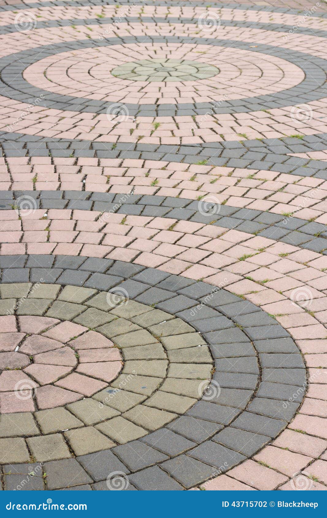 Patterned Paving Tiles Stock Photo - Image: 43715702