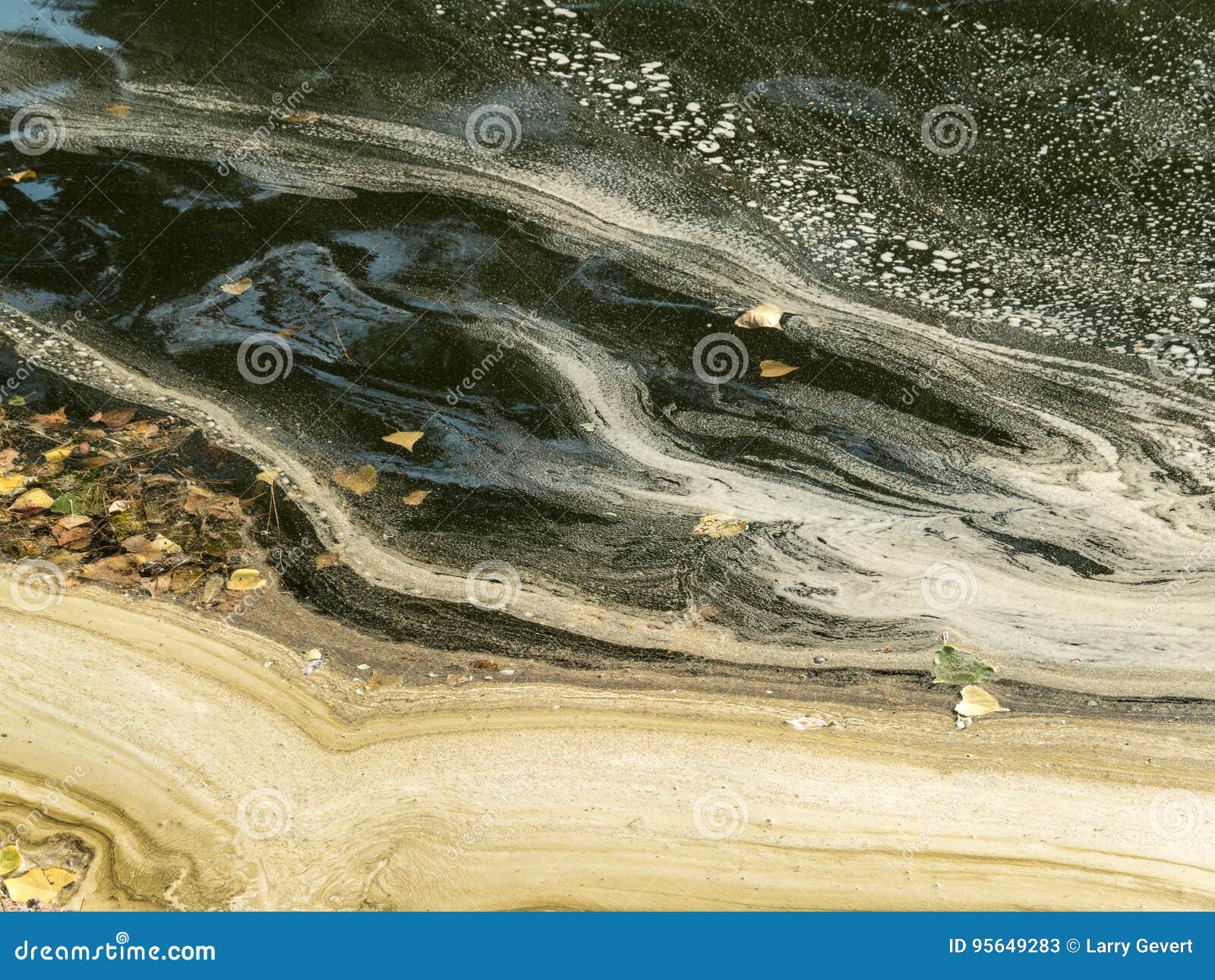 Patterns in algae stock image. Image of algae, aquatic - 95649283