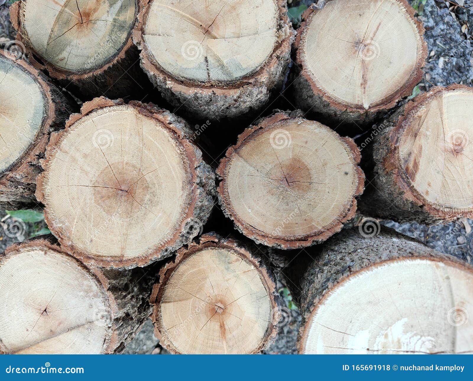 Patterns that Appear at the Cross-section of Multiple Trees are ...