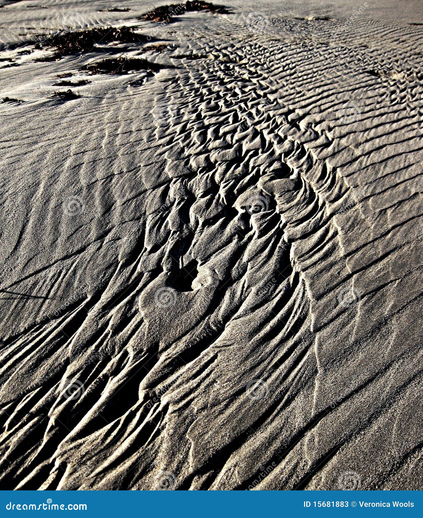 Patterns in beach sand stock image. Image of silver, lines - 15681883