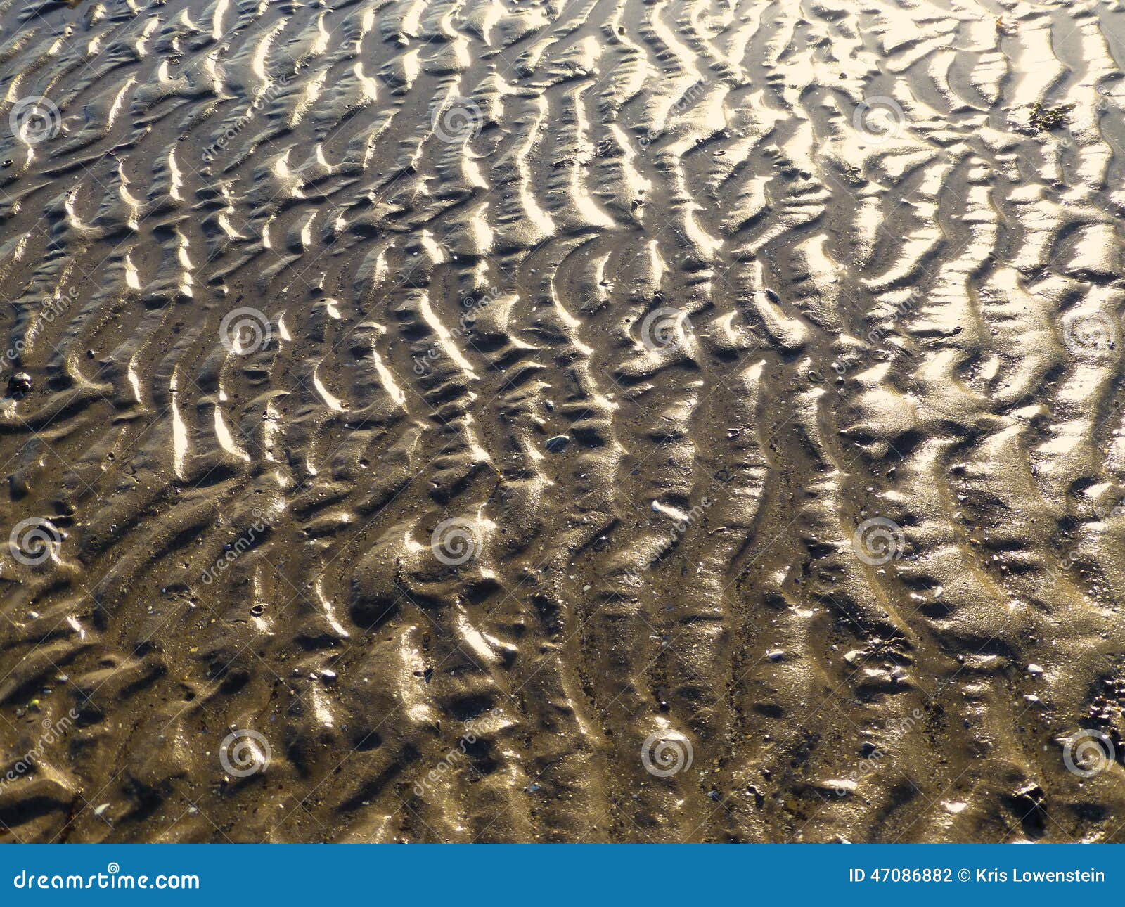 Patterns on the Beach. 2 stock photo. Image of abstract - 47086882