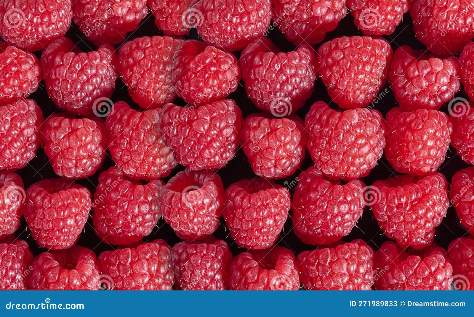 Patterns of Berries, Top View, Background Stock Image - Image of ...