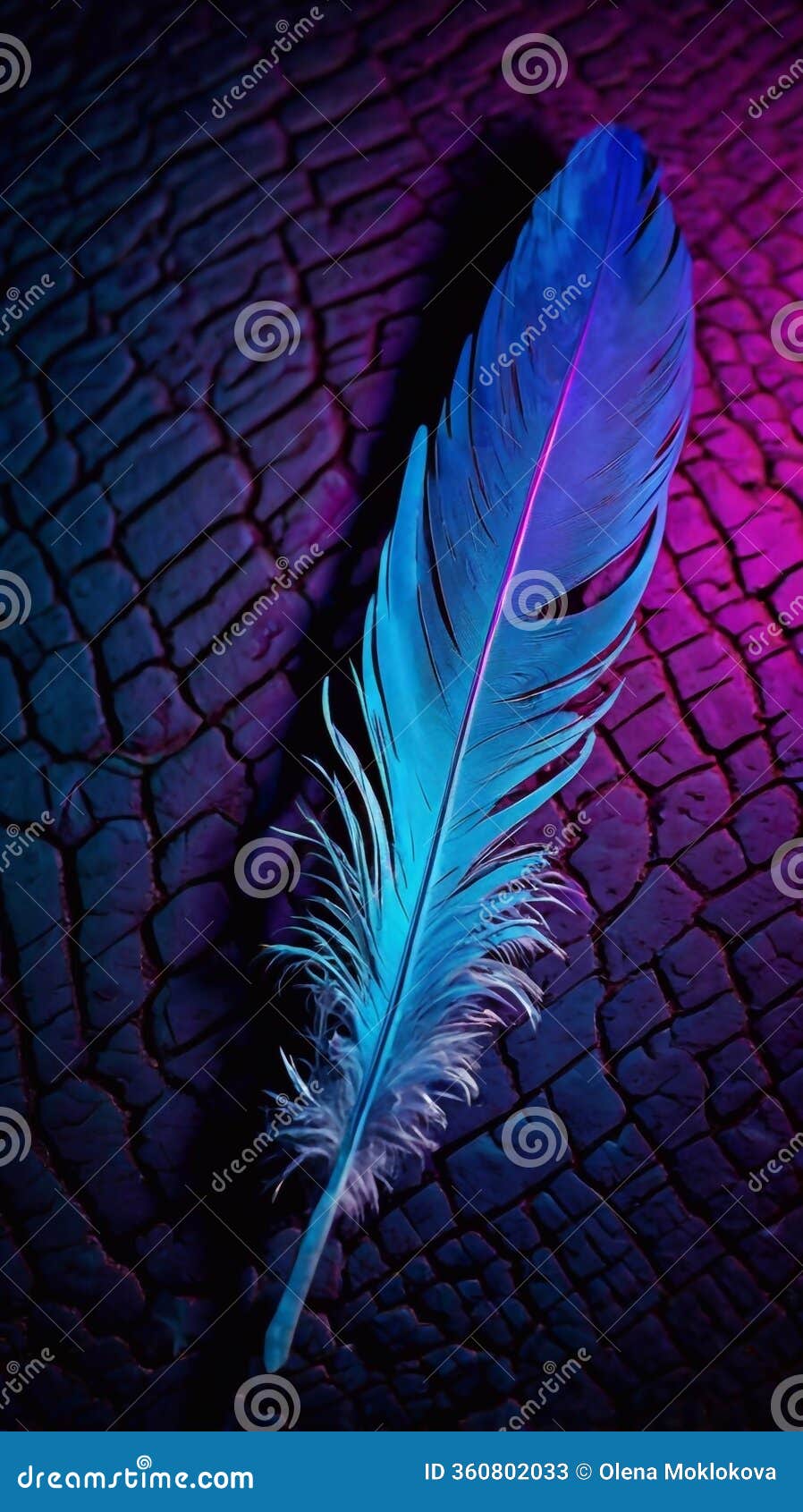 Patterns on Bird Feathers Illuminated in Vibrant Neon Hues Against ...