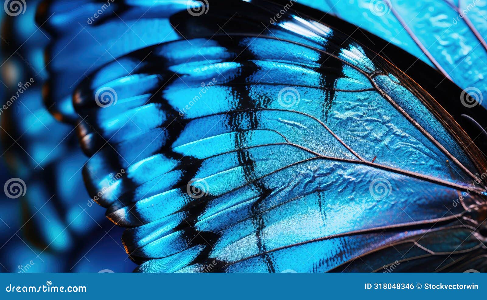 Patterns blue morpho stock illustration. Illustration of wings - 318048346