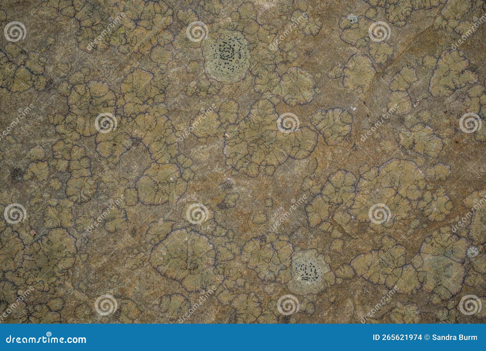 Patterns on a Boulder from Nature Stock Photo - Image of stained, macro ...