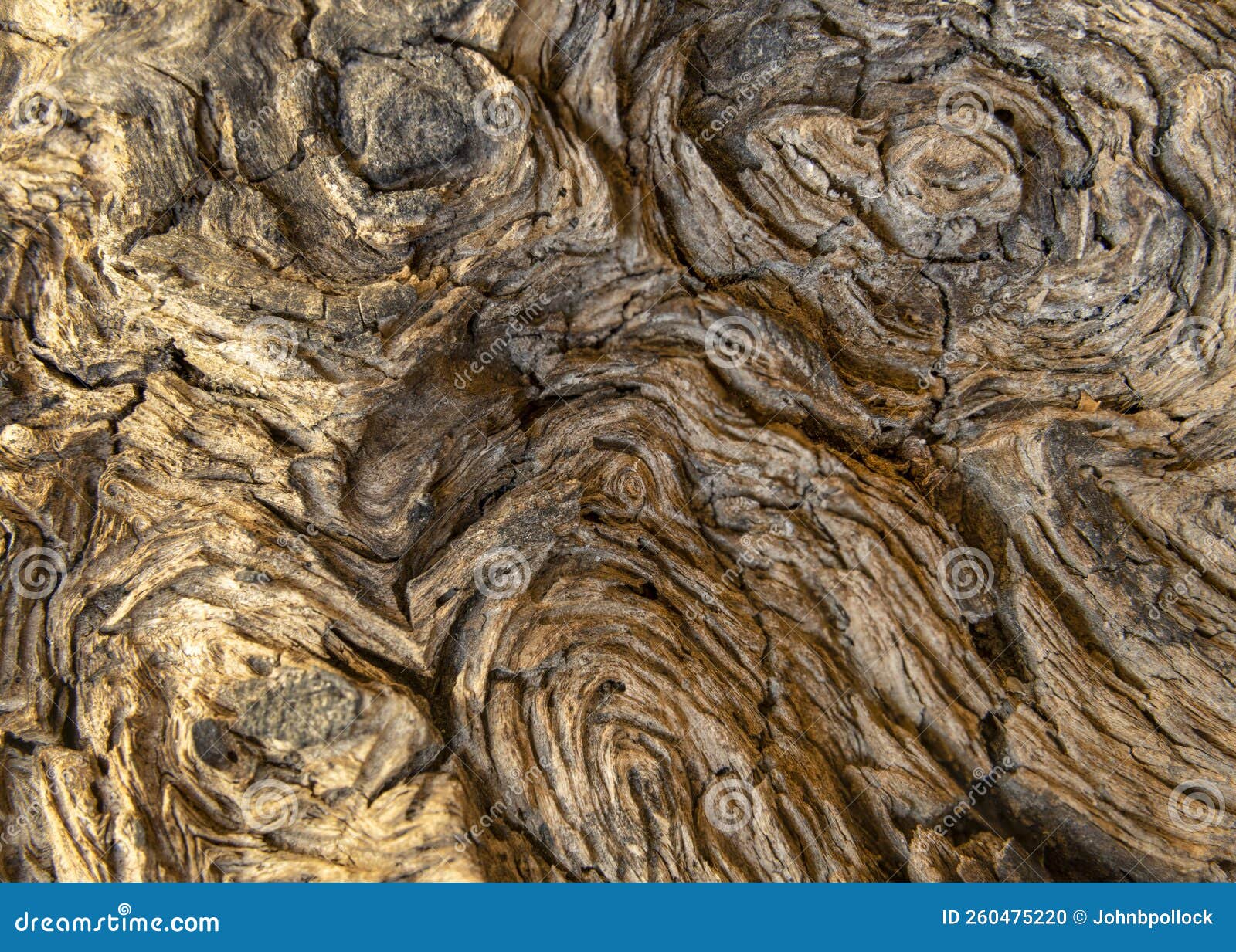 Patterns in burl wood stock photo. Image of pattern - 260475220