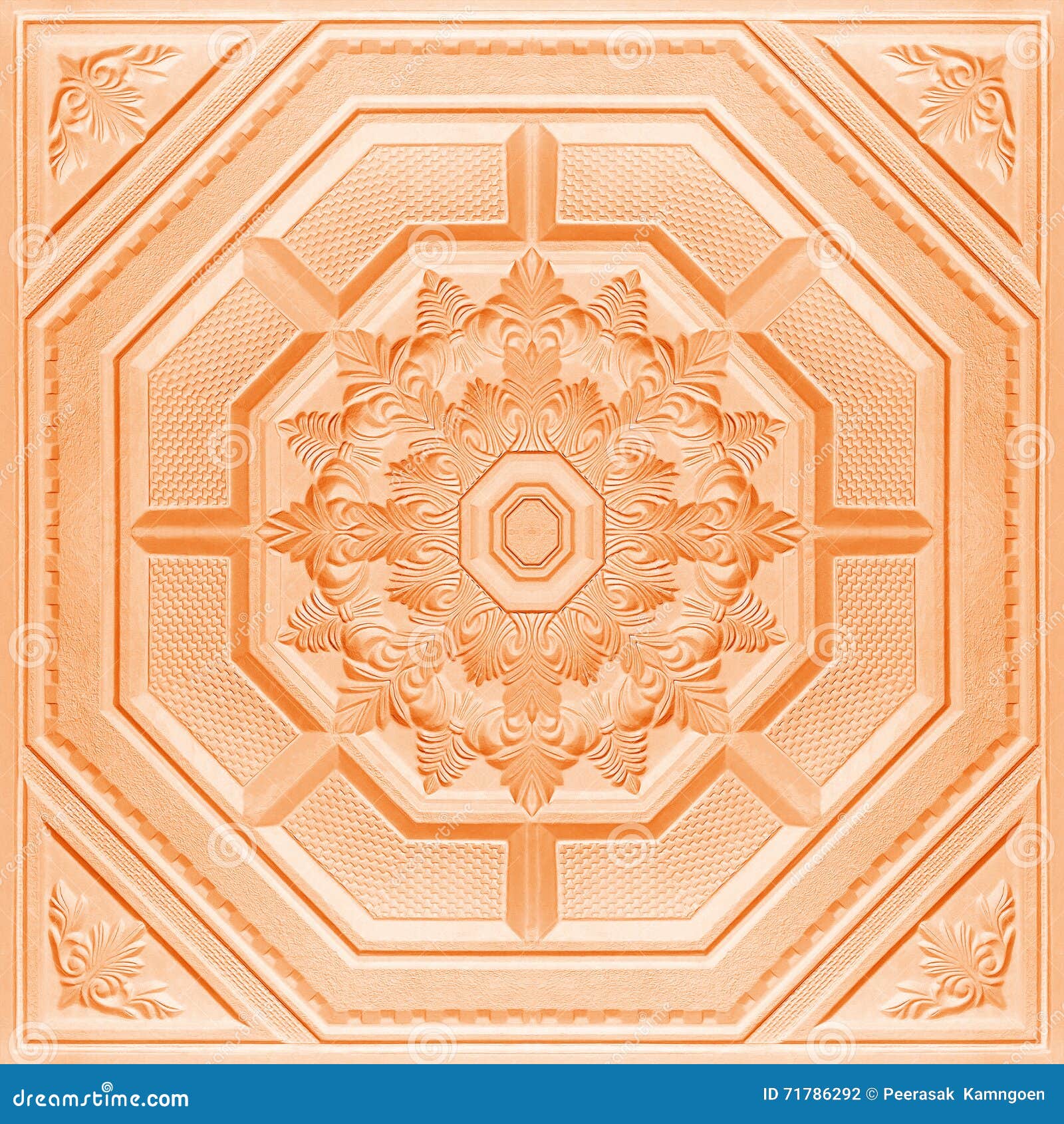 Patterns on the Ceiling Gypsum Sheets Stock Photo - Image of leaf ...