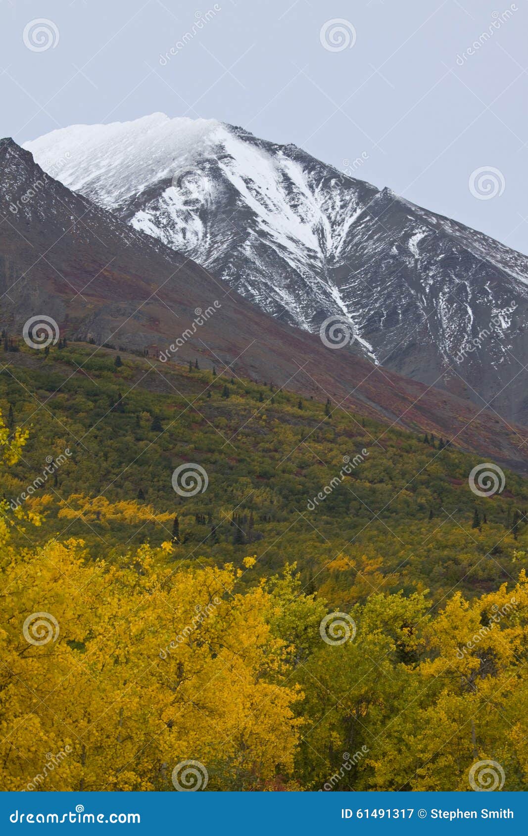 Patterns of Color Moving Up the Side of Mountain in Autumn, Yukon Stock ...