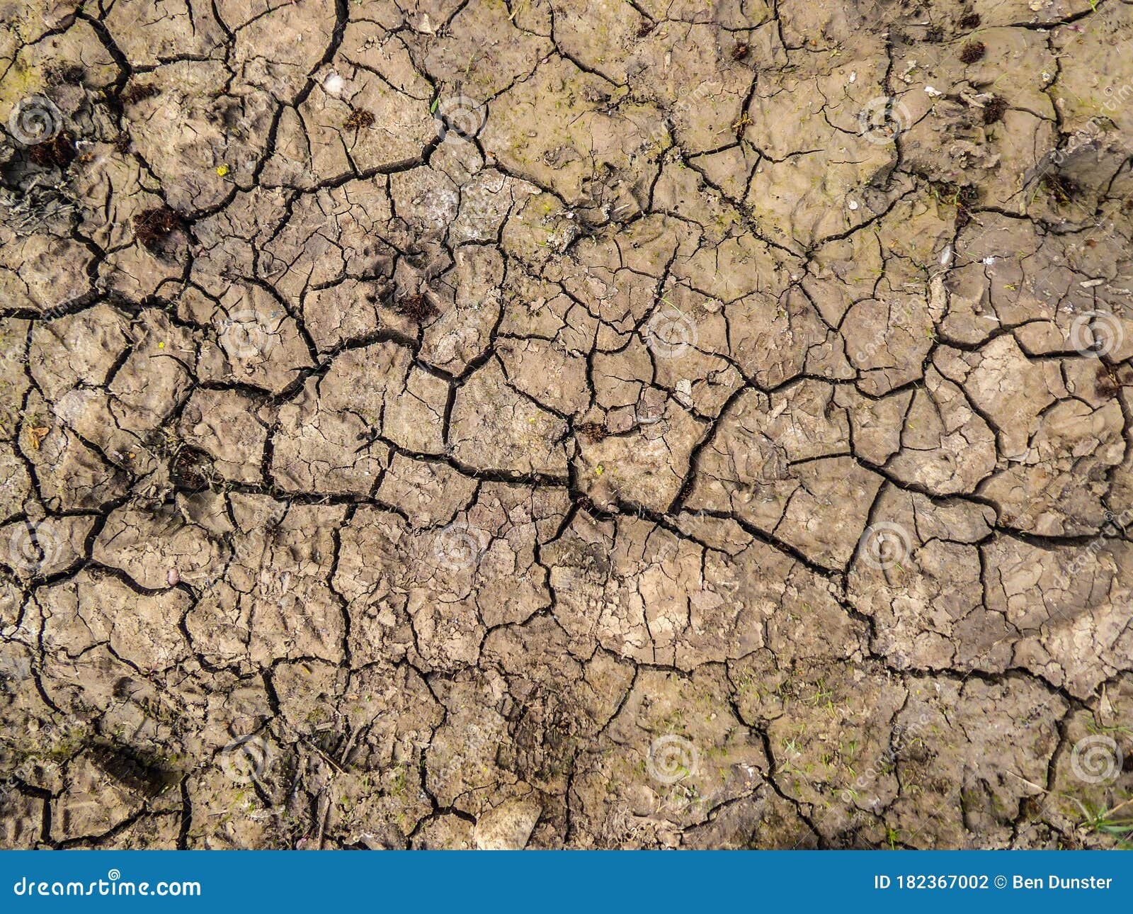 Patterns in the Cracks of Mud Baked Hard by the Sun Stock Photo - Image ...