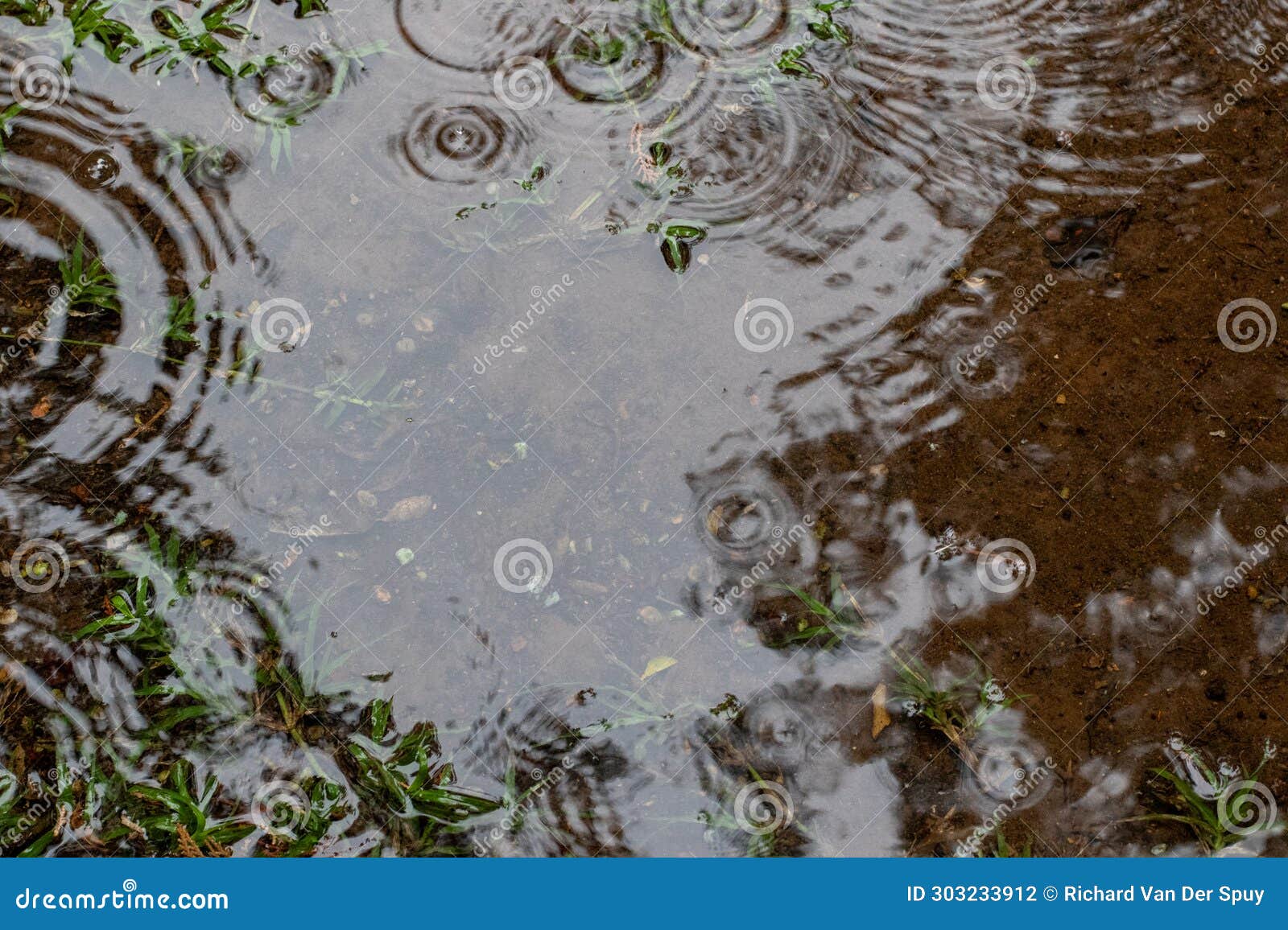 Patterns Created by Rain Drops Falling in a Puddle Stock Photo - Image ...