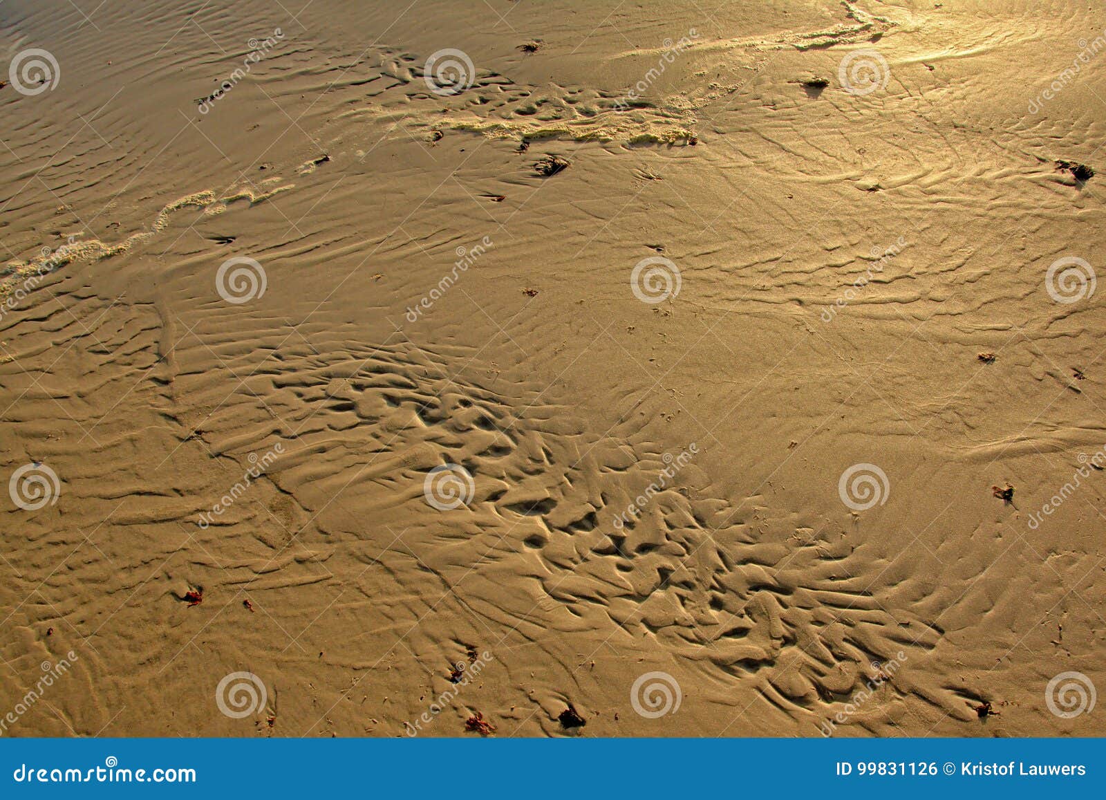 Wavy Sand Patterns in Wet Sand on the Beach Stock Photo - Image of ...