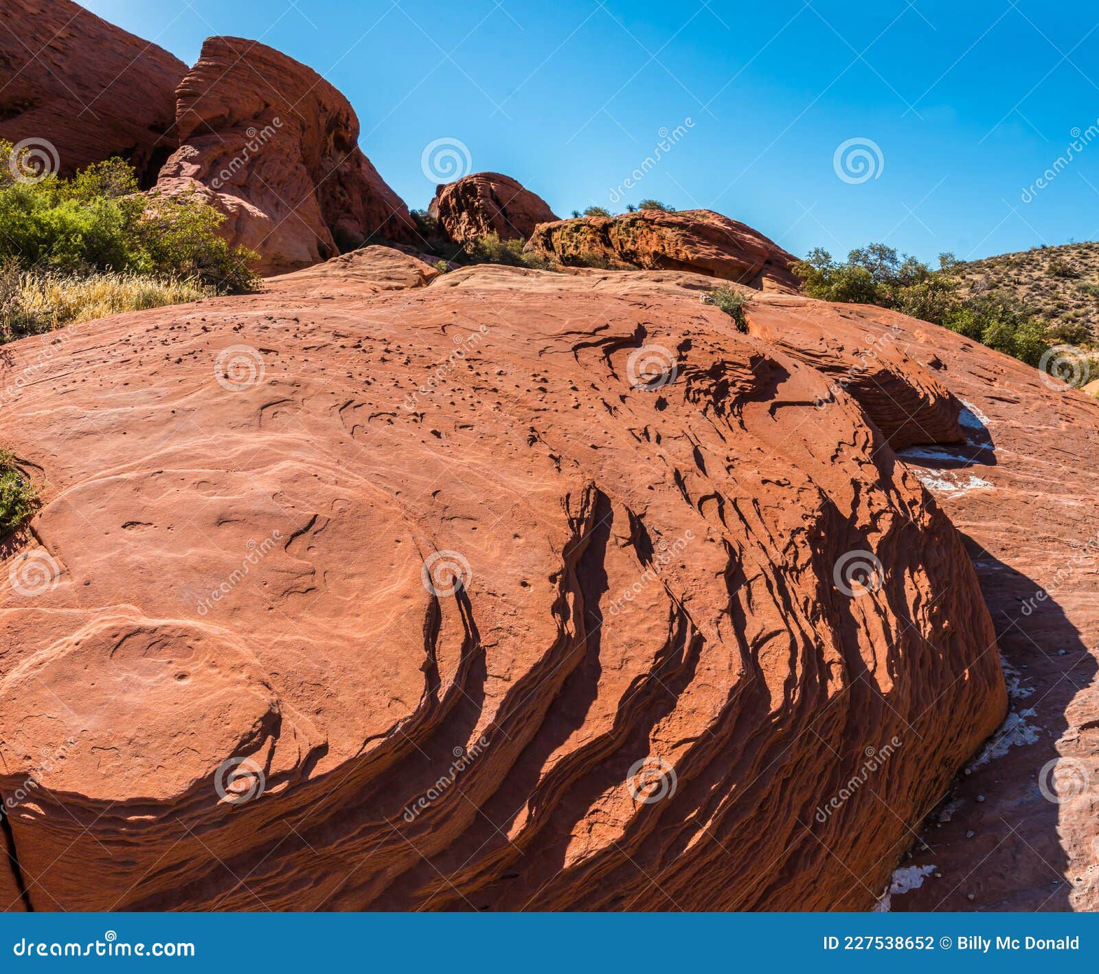 Patterns of Erosion Formed in the Aztec Sandstone of the Calico Hills ...