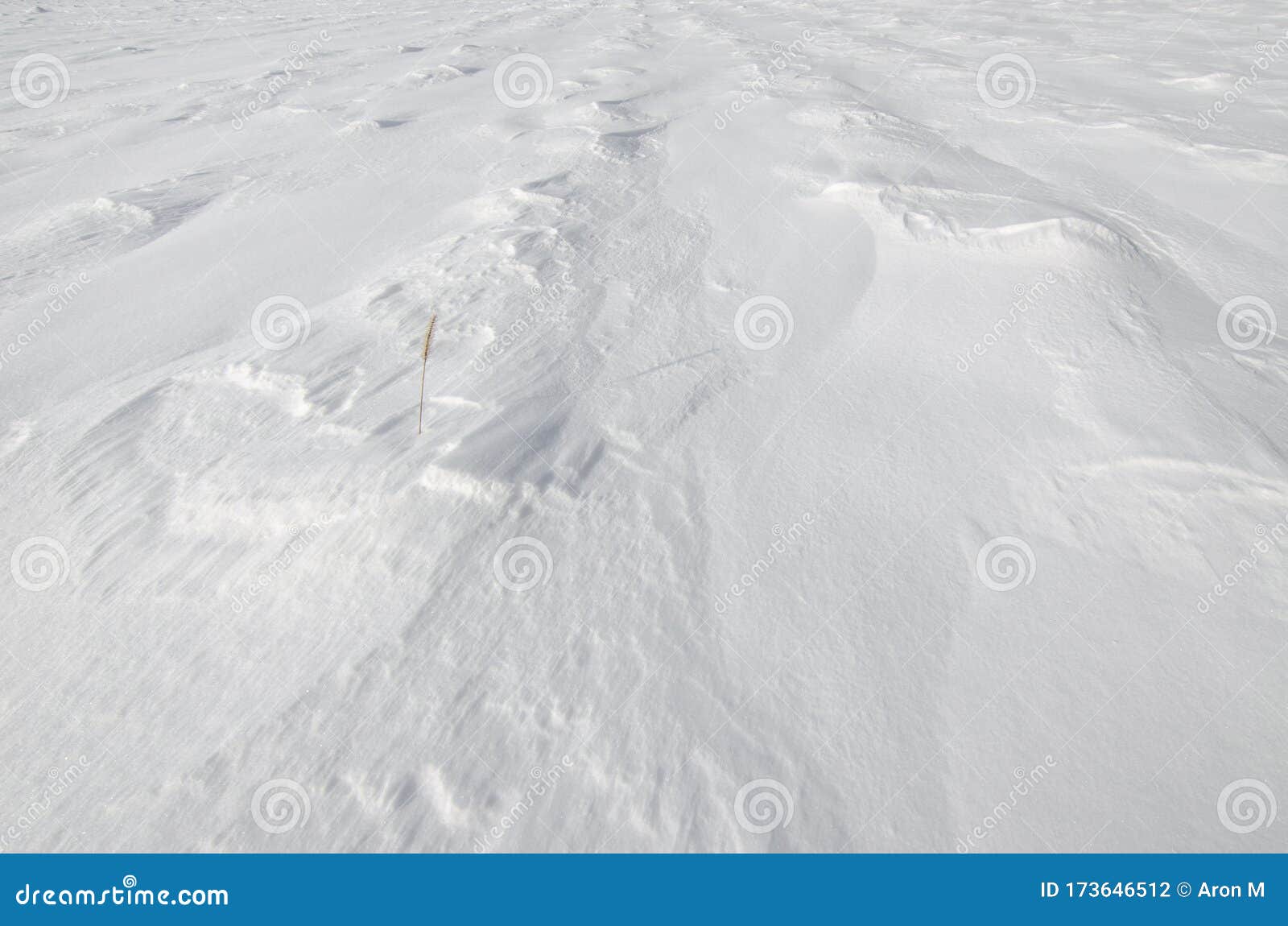 Patterns on a Fresh Snow Texture on a Field Stock Photo - Image of ...