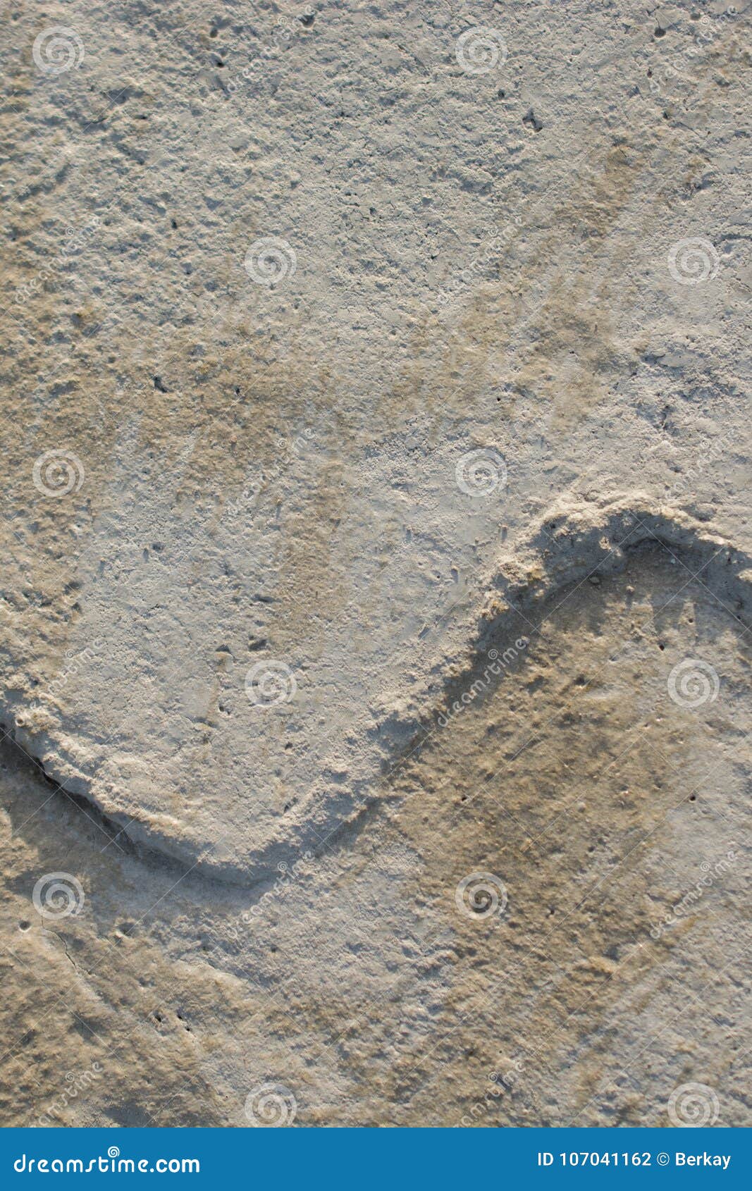 Patterns on Freshly Poured Concrete Surface Stock Photo - Image of ...