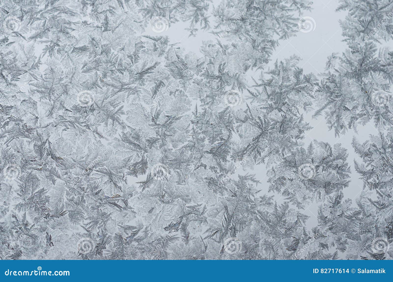 Patterns of frost on glass stock photo. Image of cool - 82717614