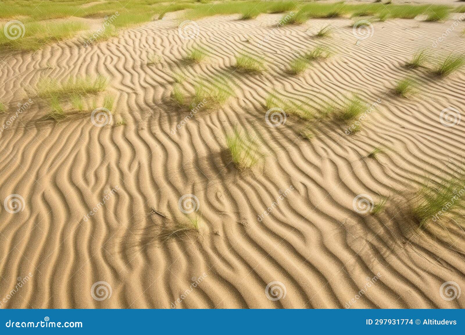 Patterns of Grass and Sand in a Dune Area Stock Photo - Image of ...