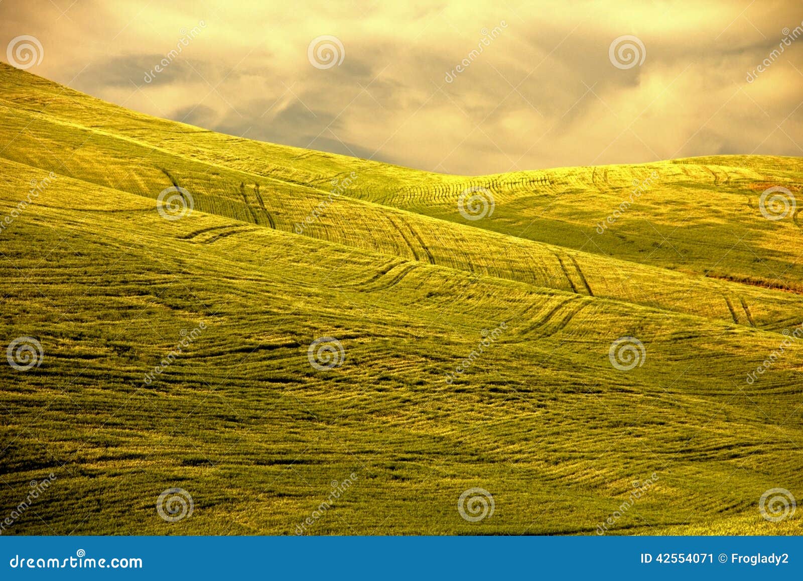 836 Visible Patterns Stock Photos - Free & Royalty-Free Stock Photos ...