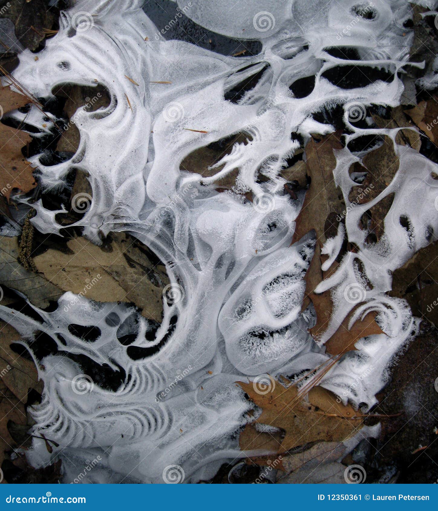 Patterns in the Ice stock image. Image of beautiful, sunrise - 12350361