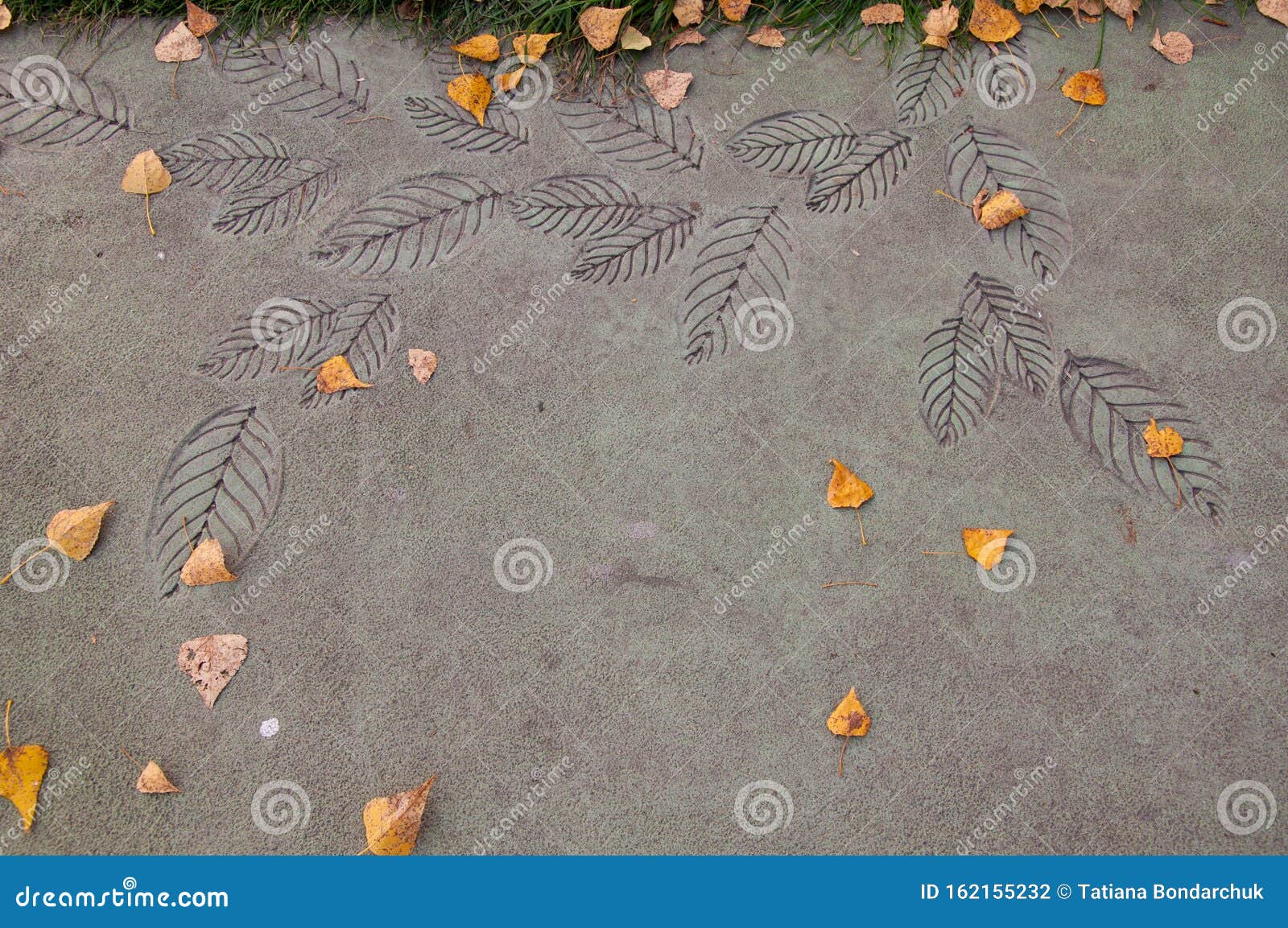 Patterns of Leaf Prints on a Concrete Road. Stock Photo - Image of ...
