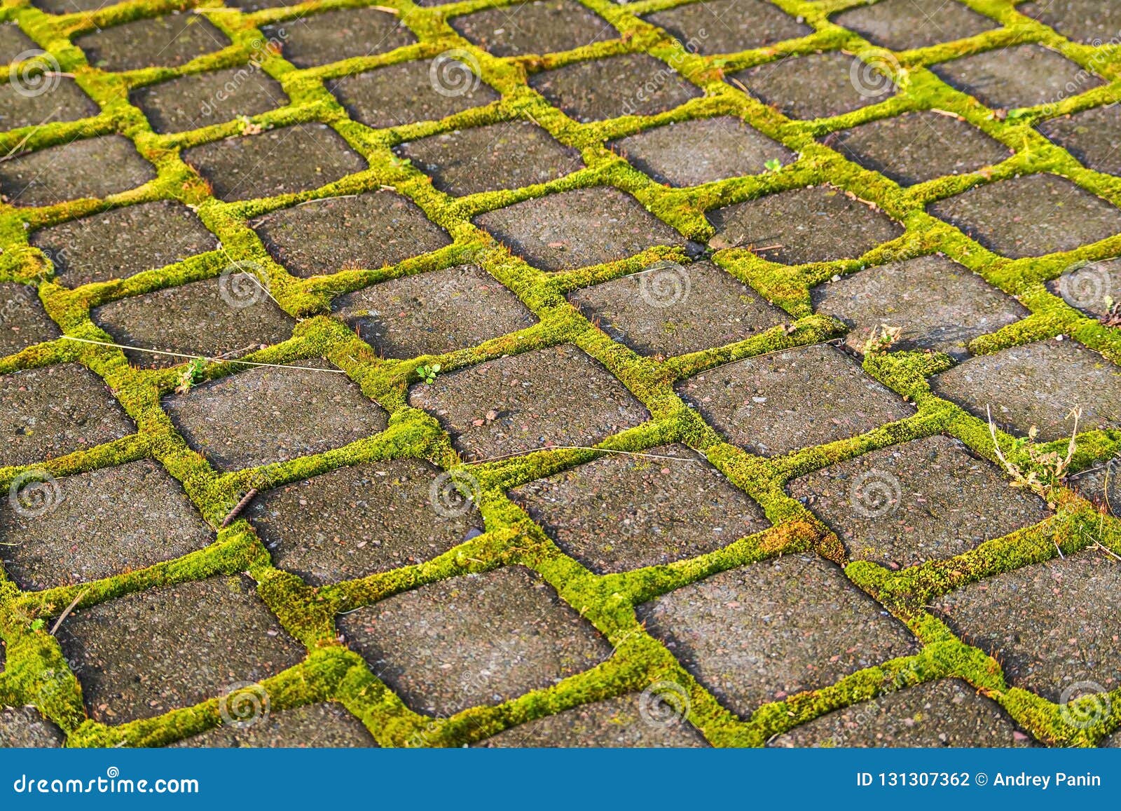 Patterns of Moss and Tiles. Stock Photo - Image of grunge, moss: 131307362