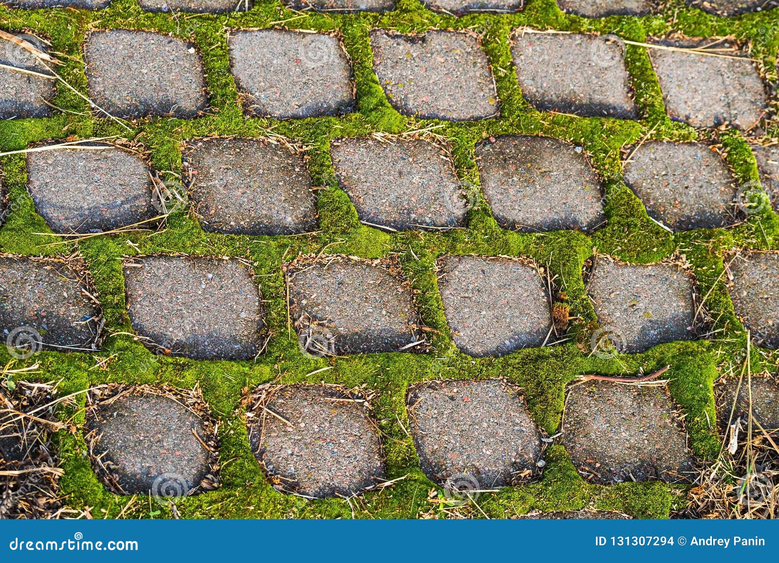 Patterns of Moss and Tiles. Stock Photo - Image of rock, sidewalk ...