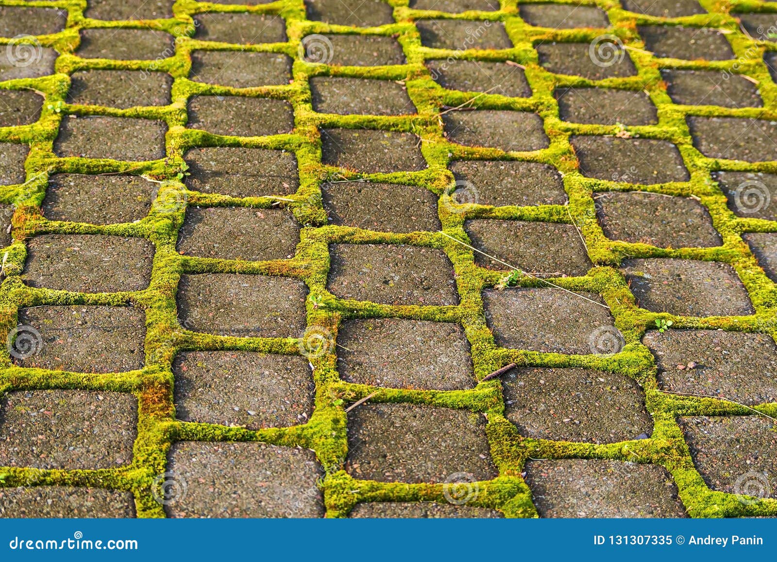 Patterns of Moss and Tiles. Stock Image - Image of moss, building ...