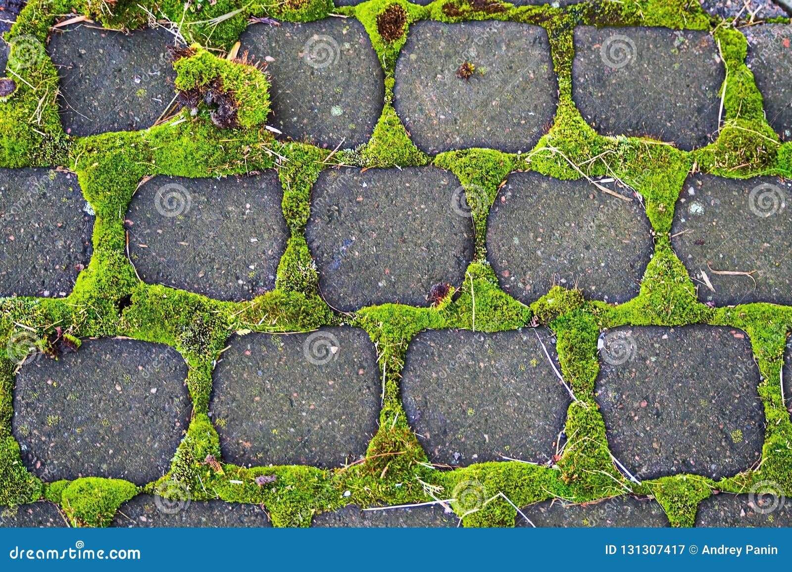 Patterns of Moss and Tiles. Stock Image - Image of backdrop, brick ...
