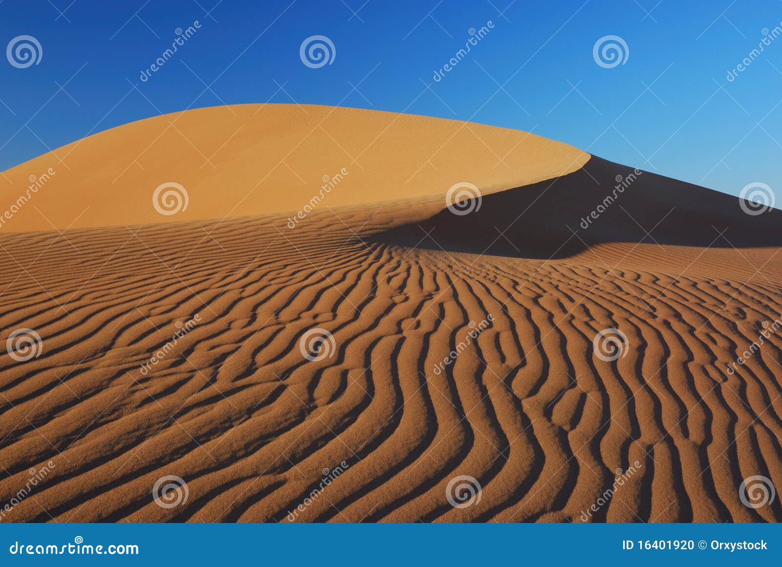 Patterns in the Namibian Desert Stock Photo - Image of warm, pattern ...