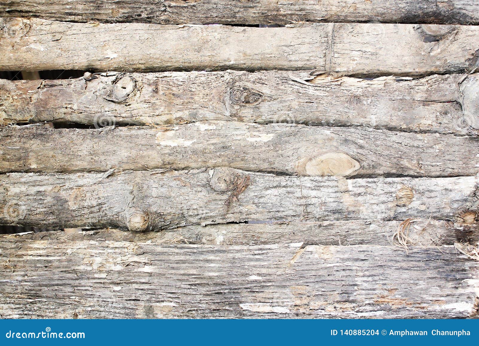 Patterns Nature Bark Of Tree On Floor Background , Horizontal Outdoor ...