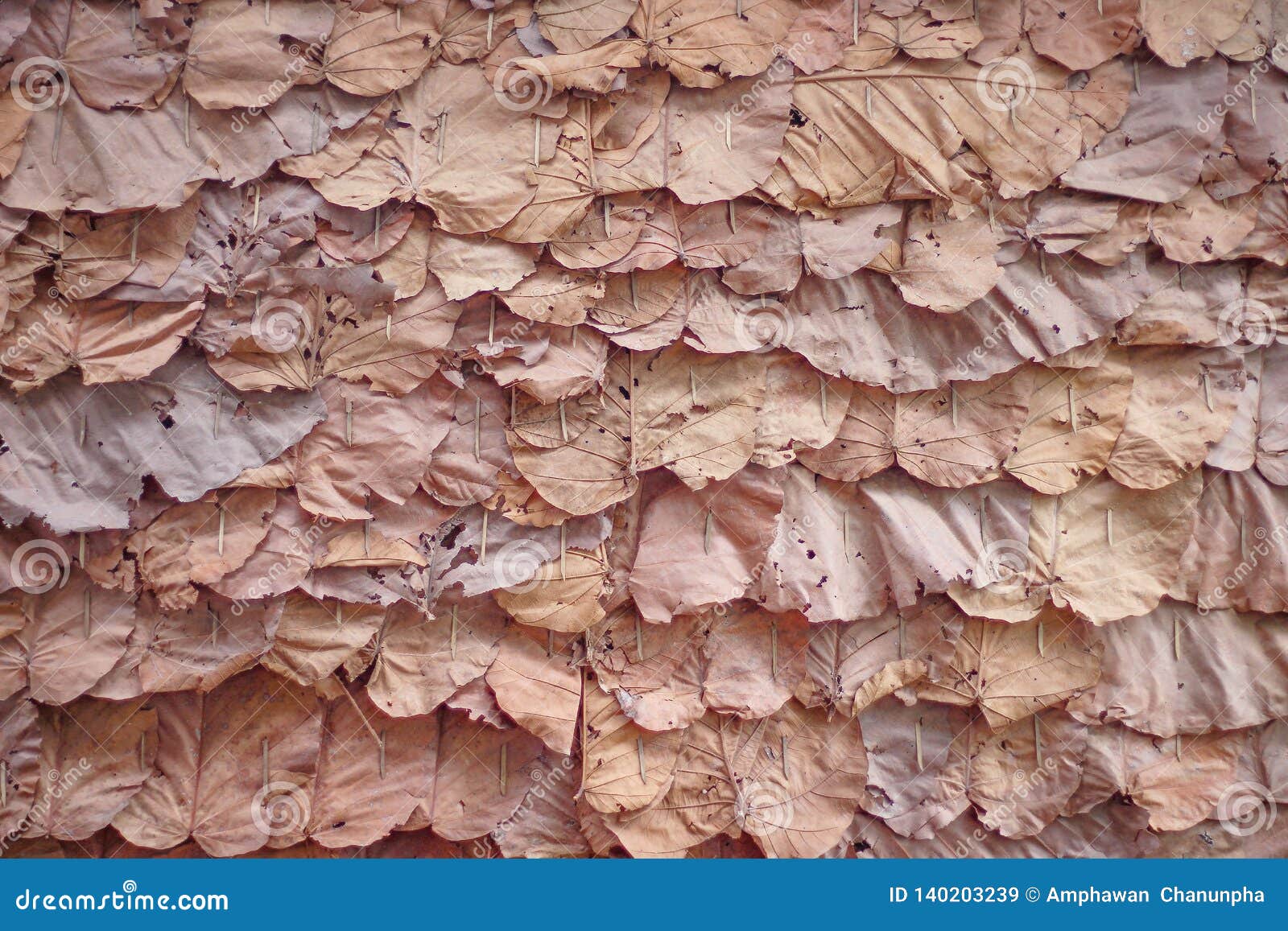 Patterns of Nature on Wall Background , Layer Dried Leaves Texture ...