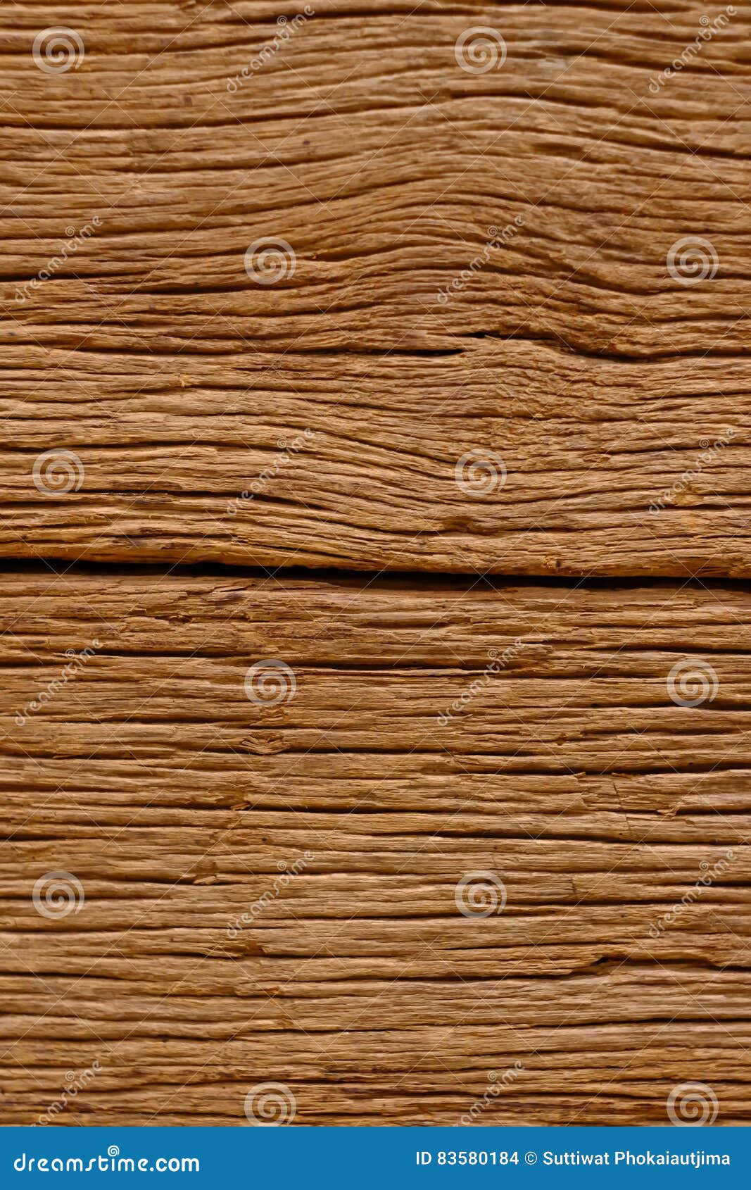 Patterns on old wood stock photo. Image of pattern, nature - 83580184