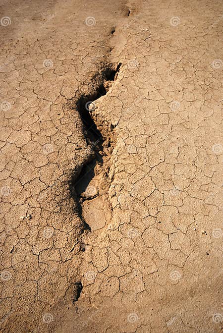 Patterns in parched ground stock image. Image of earth - 3298843