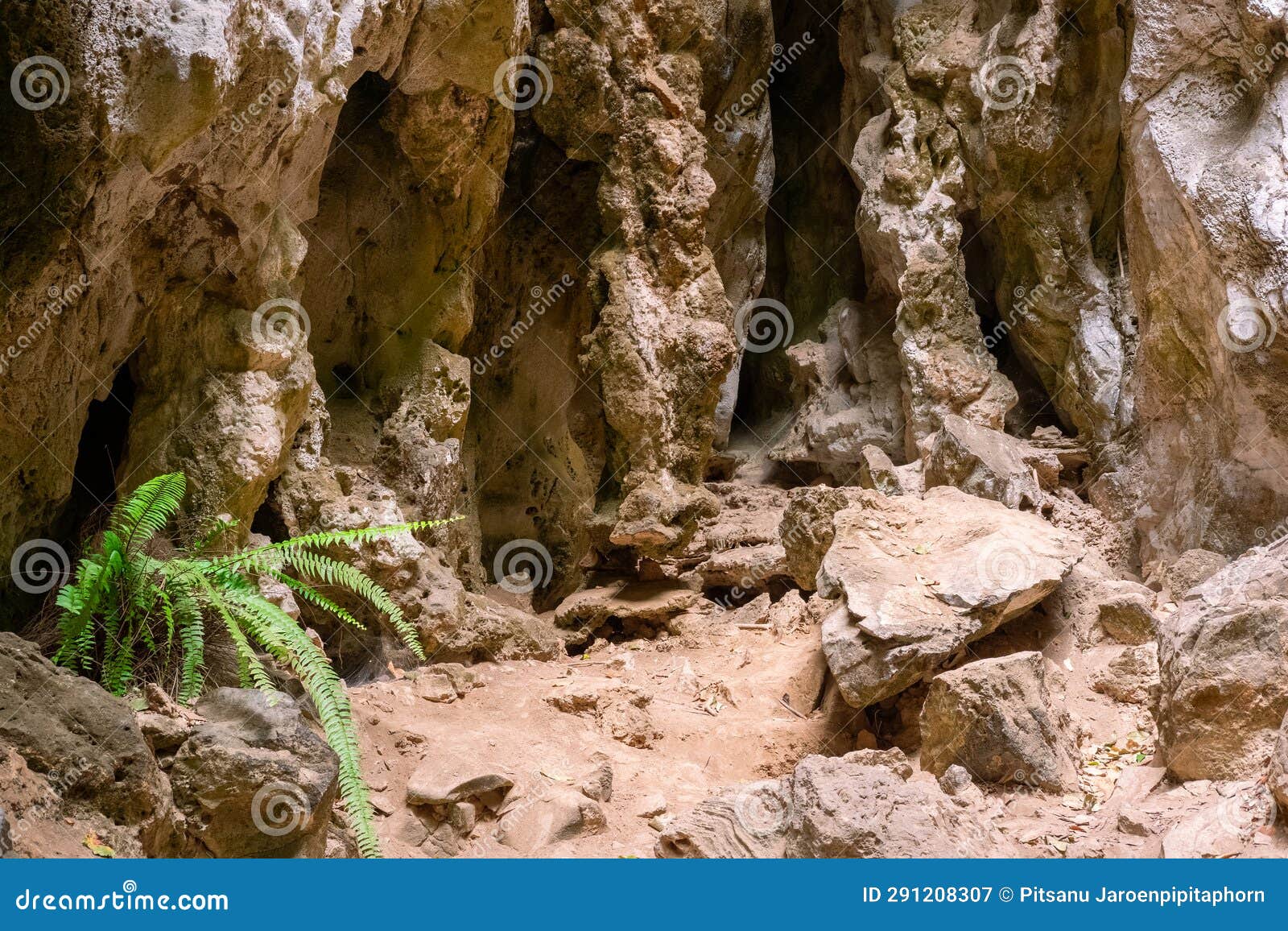 Patterns of Rocks Inside the Cave and Ferns Growing There Stock Image ...